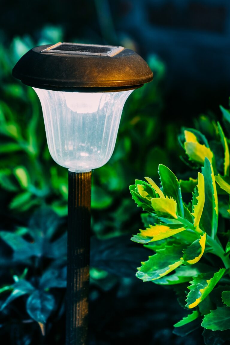 How To Design Landscape Lighting (Guide)